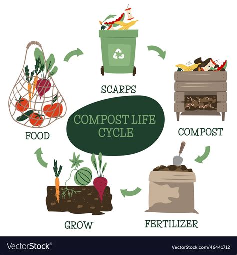 Compost Life Circle Infographic Composting Vector Image