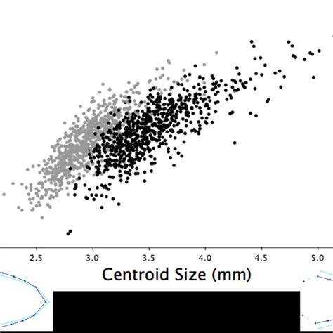 Multivariate Regression Scores Of Dorsal Shape Variation By Centroid