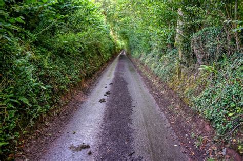 Lydeard St Lawrence Country Road Lewis Clarke Cc By Sa 2 0
