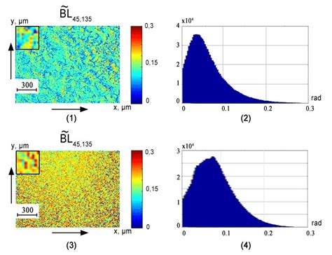 An Example Of Maps And Histograms Of The Download Scientific Diagram