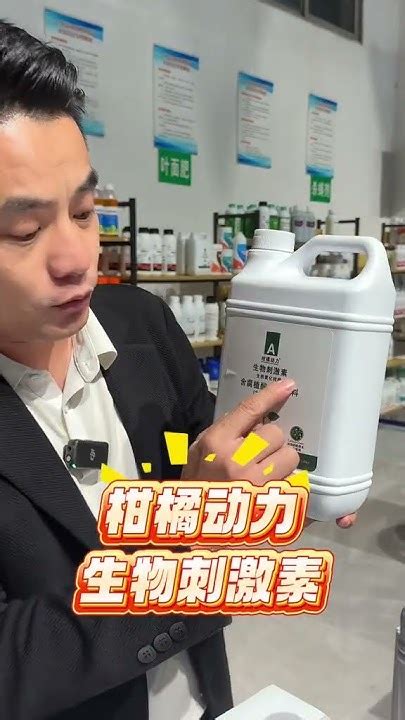 叶片黄化 枝条细弱 倒春寒一来 果树根本承受不住 现在就要做好营养累积工作柑橘 柑橘种植 果树种植 柑橘管理 黄化 Youtube