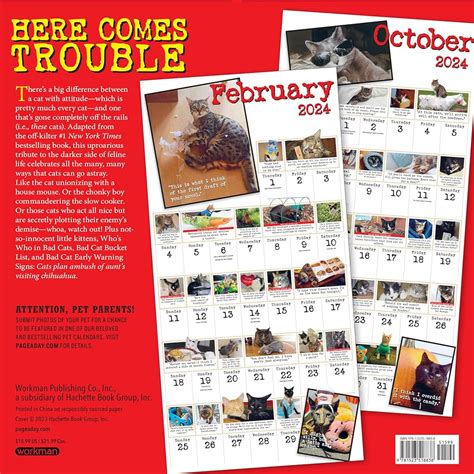 Bad Cat 2024 Calendar Joyan Malvina