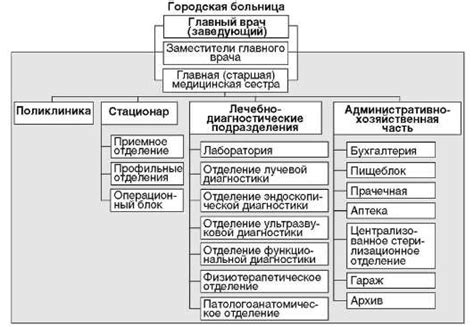 Рис. 10.1. Примерная организационная структура городской больницы
