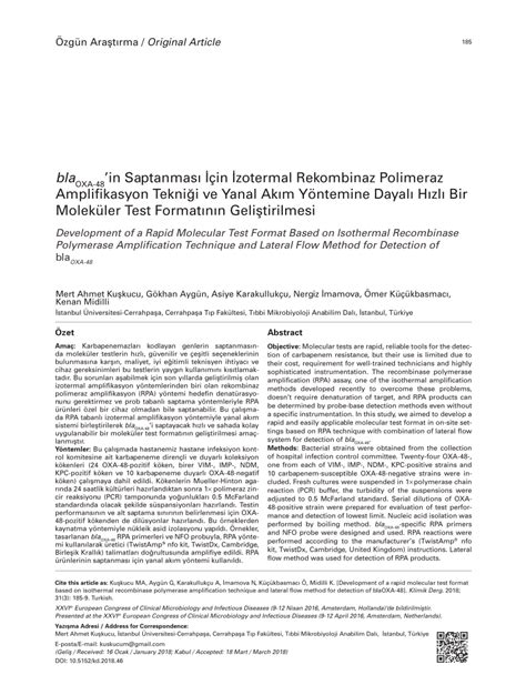 Pdf Development Of A Rapid Molecular Test Format Based On Isothermal