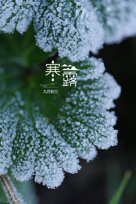 成都这个天气，我在地铁上看到了春夏秋冬澎湃号·媒体澎湃新闻 The Paper