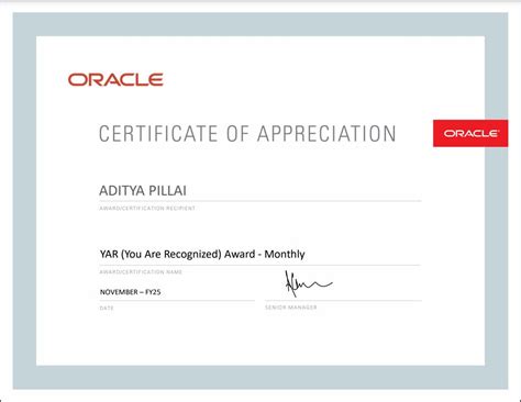 aditya pillai on linkedin oracle yar recognition gratitude