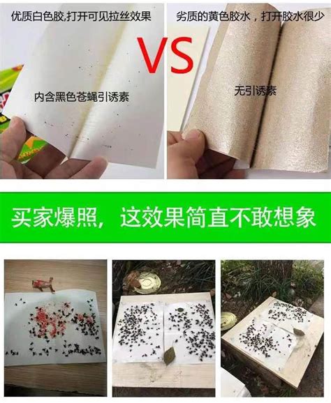 苍蝇纸挂粘绳捕贴灭蝇灯专用粘蝇纸大号强力粘蝇纸诱饵蚊子苍蝇纸虎窝淘