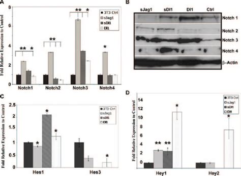 Figure 1 From Tumorigenesis And Neoplastic Progression Soluble Forms Of
