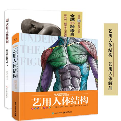 【满300减30】共两本艺用人体结构艺用人体解剖人体艺术美院实用人像素描解剖标准绘画素描速写教程虎窝淘