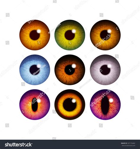 Eye Pupil Image Images Stock Photos Vectors Shutterstock