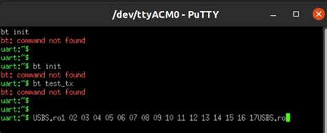 Errors In Copy Paste Lengthy Script Into Shell Console · Issue 27997 · Zephyrproject Rtos