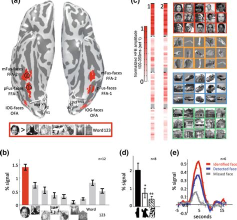 1 face selective regions in human ventral occipito temporal cortex a