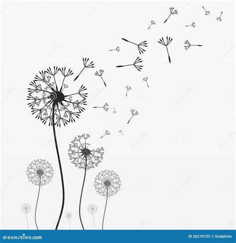 Seven Vector Dandelions Stock Vector Illustration Of Fragile 36279722