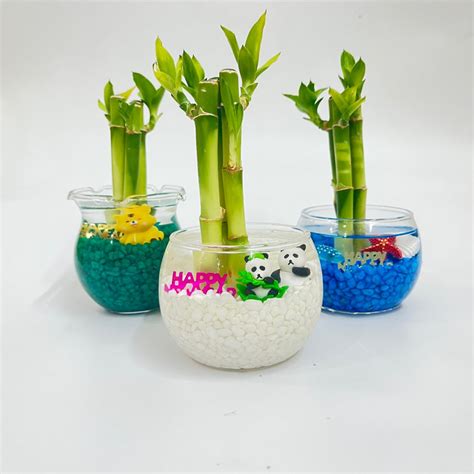 [diy 키트] 바다 천연조개 캔들 2개분량