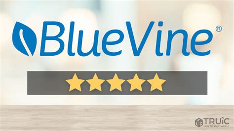 BlueVine Business Checking Review TRUiC