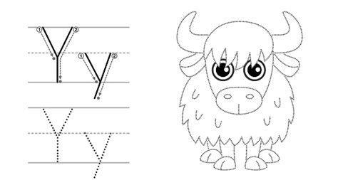문자를 추적하고 그림을 추적하고 색칠합니다 교육 아이들은 게임을 추적합니다 알파벳색칠하기 편지 Y와 재미 야크 야크에 대한 스톡 벡터 아트 및 기타 이미지 Istock