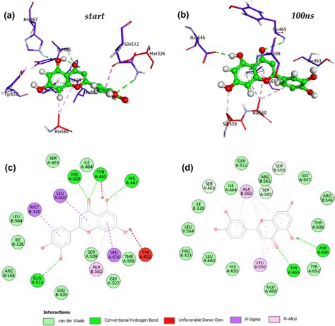 Binding Poses And Schematic Proteinligand Interactions Diagram At 0 Ns