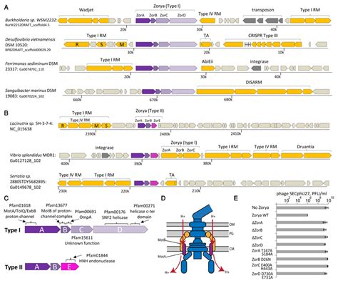 Systematic Discovery Of Antiphage Defense Systems In The Microbial