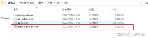 Golang安装protobuf 2022最新安装教程windowswindows Protobuf 3194下载 Csdn博客