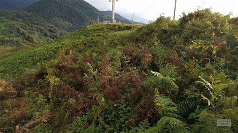 დაკვირვების წერტილი ბათუმის ზღვისა და მთების პანორამული ხედებით გონიოს მთა ადგილმდებარეობის