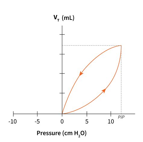 8 6 Patient Ventilator Interaction And Graphic Representation Of