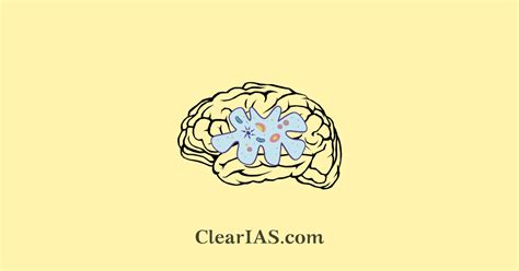 Brain Eating Amoeba Naegleria Fowleri Clearias