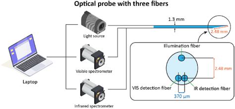 Schematic Of Fibere Optical Probe Spectroscopy Download Scientific