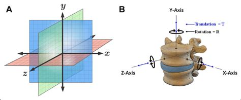 cartesian coordinate system and conceptual fame for spinal