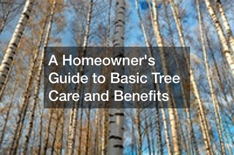 A Homeowner S Guide To Basic Tree Care And Benefits New Era Homes