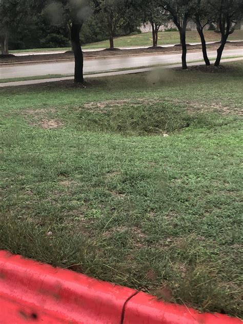 If Botw Has Taught Me Anything If You Drive Into This You Get A Korok