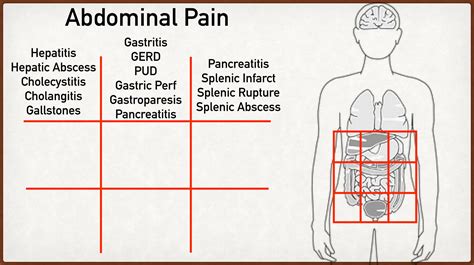 Pain In The Right Hypochondrium In Women And Men Healthy Food Near Me