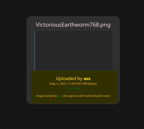 QUESTION How To Change The Frontend Of The Viewer Issue 211