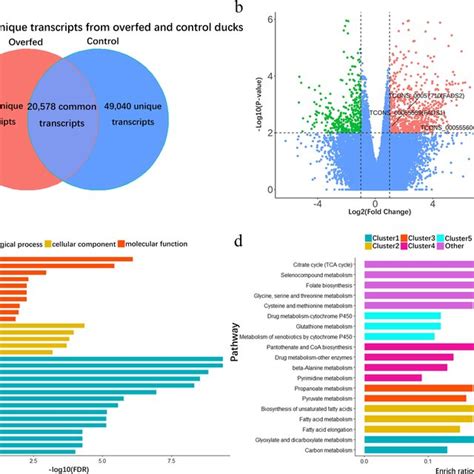 Analysis Of Differentially Expressed Transcripts A Venn Diagram Of