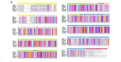 Phylogenetic Tree Of Clpg Gi Proteins A Clpg Gi Proteins Most