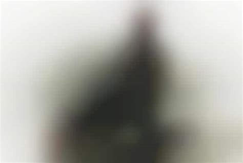 Terminator Robot Porn More Photo Madness