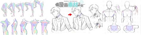 Japanese To English Free Content Project Yourself Patreon Anatomy