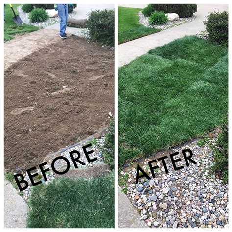 Sod Installation And Care Tips Serving All Of Mi
