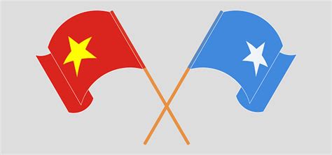 베트남과 소말리아의 교차하고 흔들리는 깃발 Socialist Party에 대한 스톡 벡터 아트 및 기타 이미지