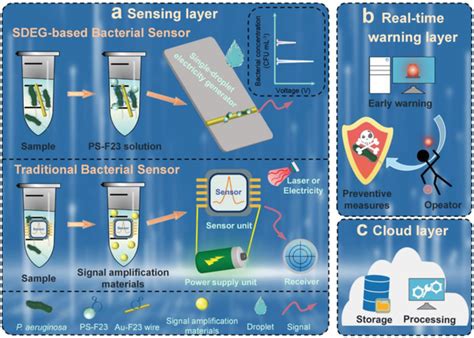 Schematic Illustration Of The Sdeg‐based Bacterial Biosensor And Its