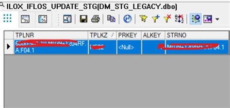 Custom Function To Load Alternate Labelling For Fu Sap Community