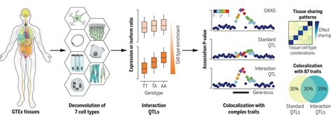 The Mangul Lab Research