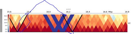 did not show full triangle · issue 155 · deeptools pygenometracks · github