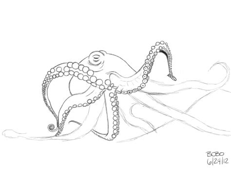 Giant Octopus Drawing At Getdrawings Free Download