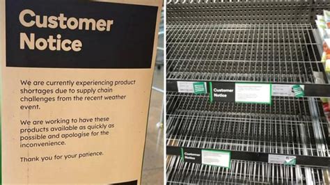 Bryce Luff Senior Reporter 7news