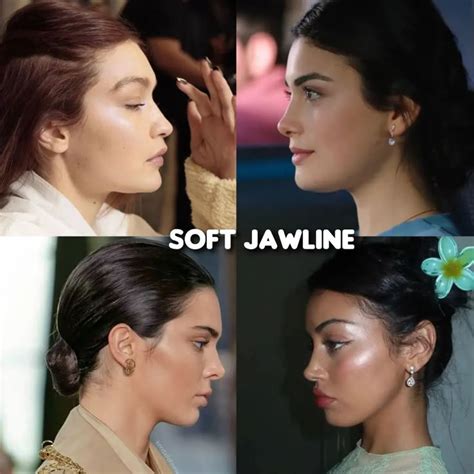 Which One Do You Choose Defindjawline Softjawline Sparpjawline