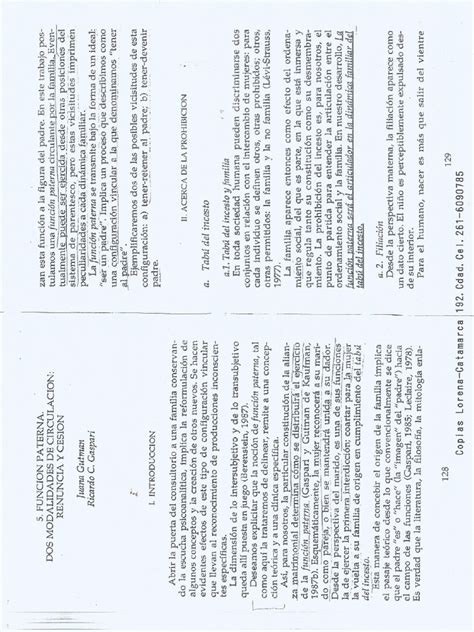 Berenstein Gutman Y Gaspari 1991 Función Paterna 1 Pdf