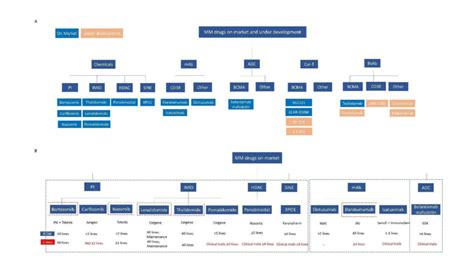 Overview Of Multiple Myeloma Mm Drug Candidates On The Market And