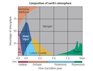 Klima und Atmosphäre der jungen Erde Darwinator
