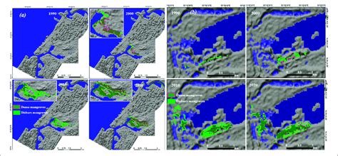 Spatiotemporal Variation Of Mangrove Forests On The Coastal Area Of Download Scientific